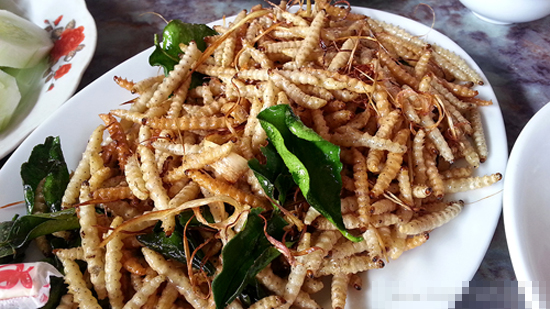 Savouring rare dish of bamboo worm in Vietnam | Vietnam Times